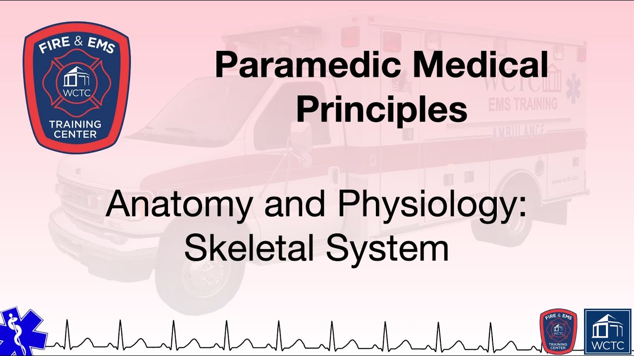 Paramedic 2.10 - Anatomy and Physiology: Skeletal System - YouTube