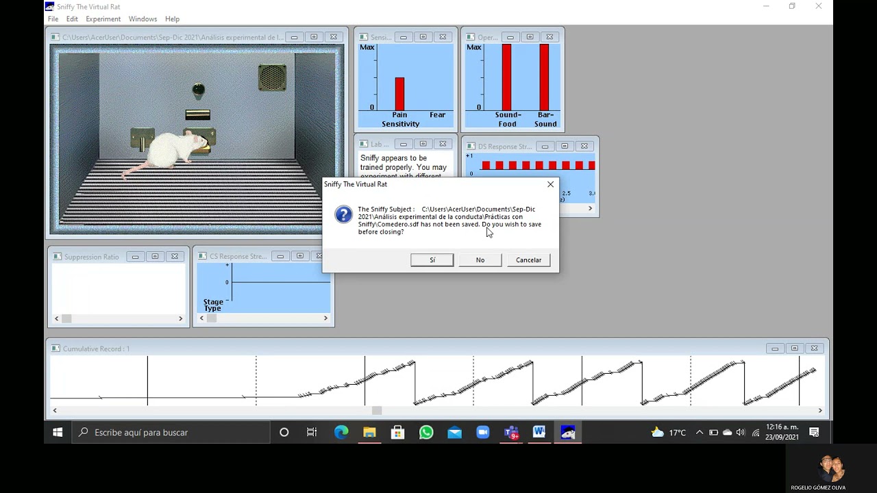 Tutorial Práctica 3 Programa de intervalo fijo - YouTube