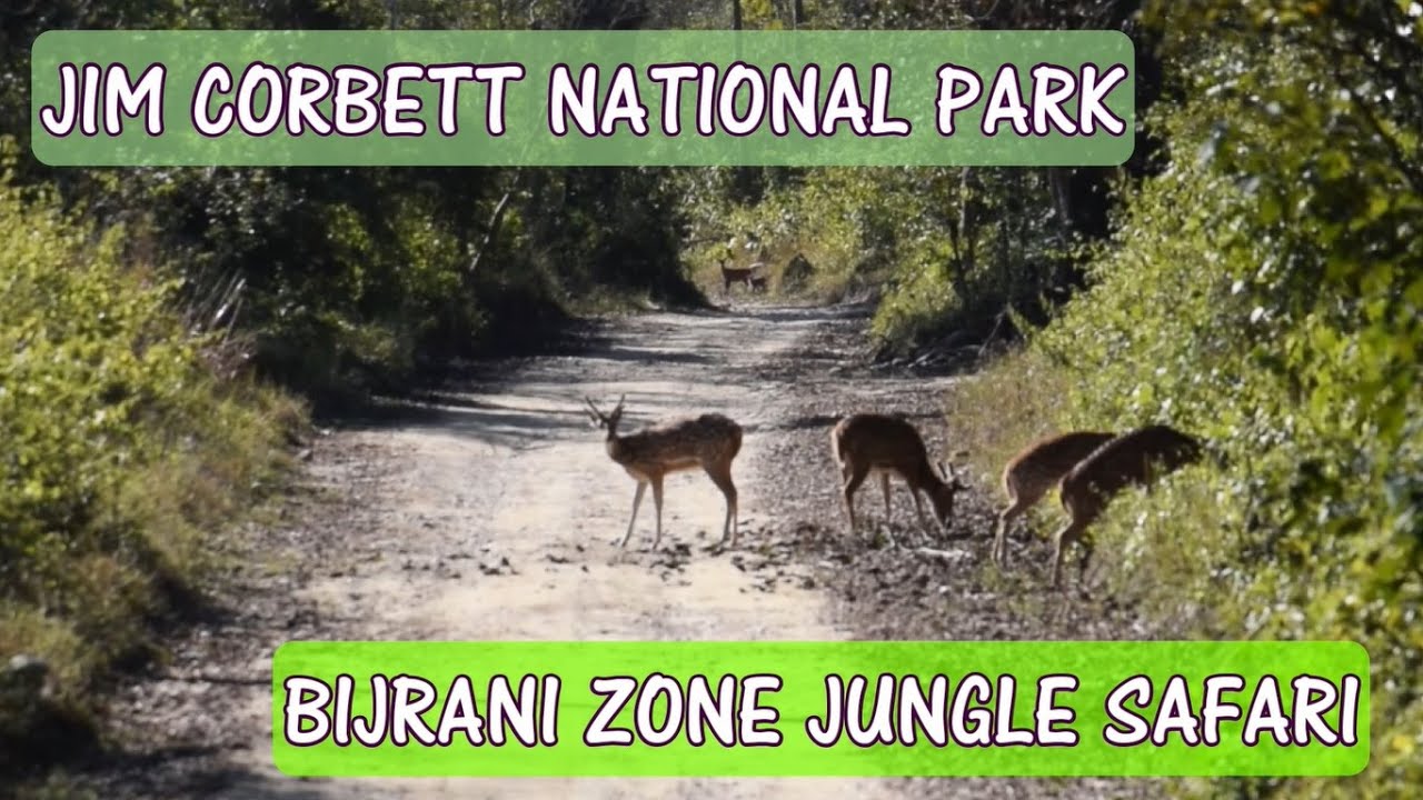 Jim Corbett National Park - Bijrani Zone - Jungle safari in Tigers ...