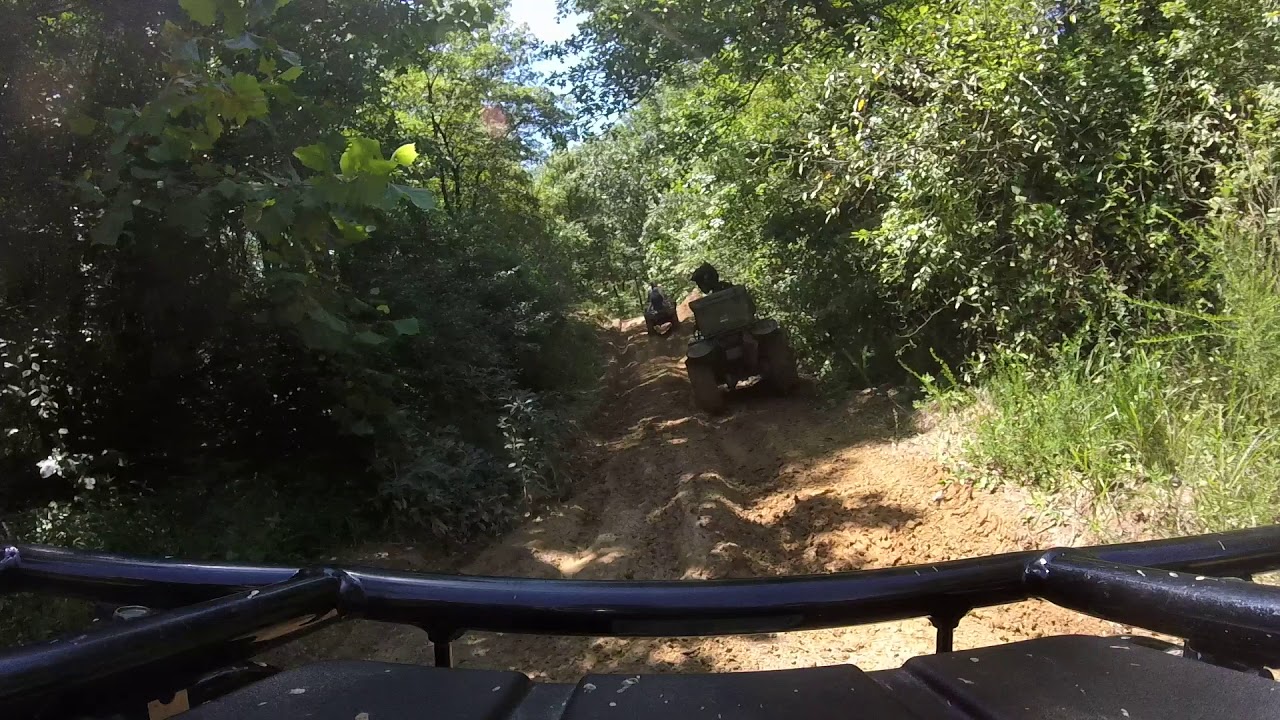First ATV trail ride of the year southern illinois little egypt off ...