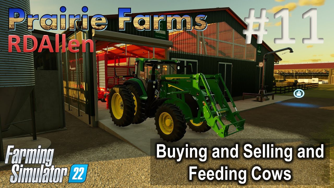 Buying and Selling and Feeding Cows! | E11 Prairie Farms | Farming ...