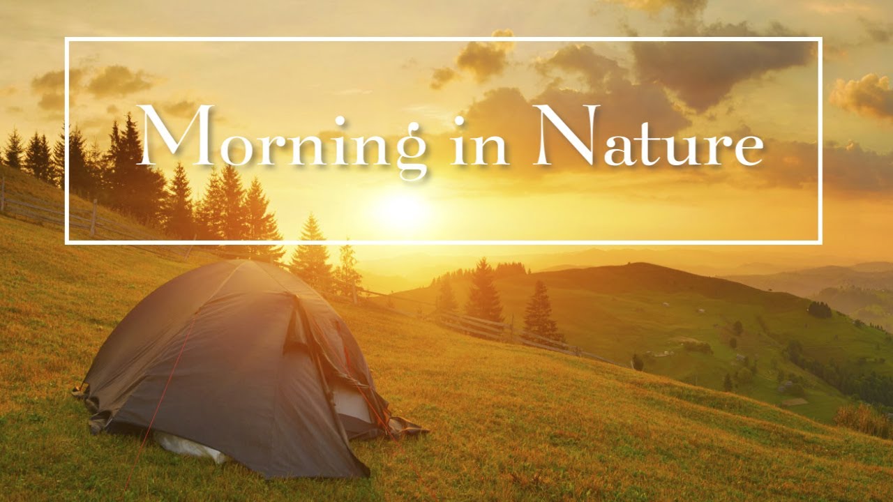 Relaxing Morning Music for Stress Relief: Soothing Guitar Music for ...