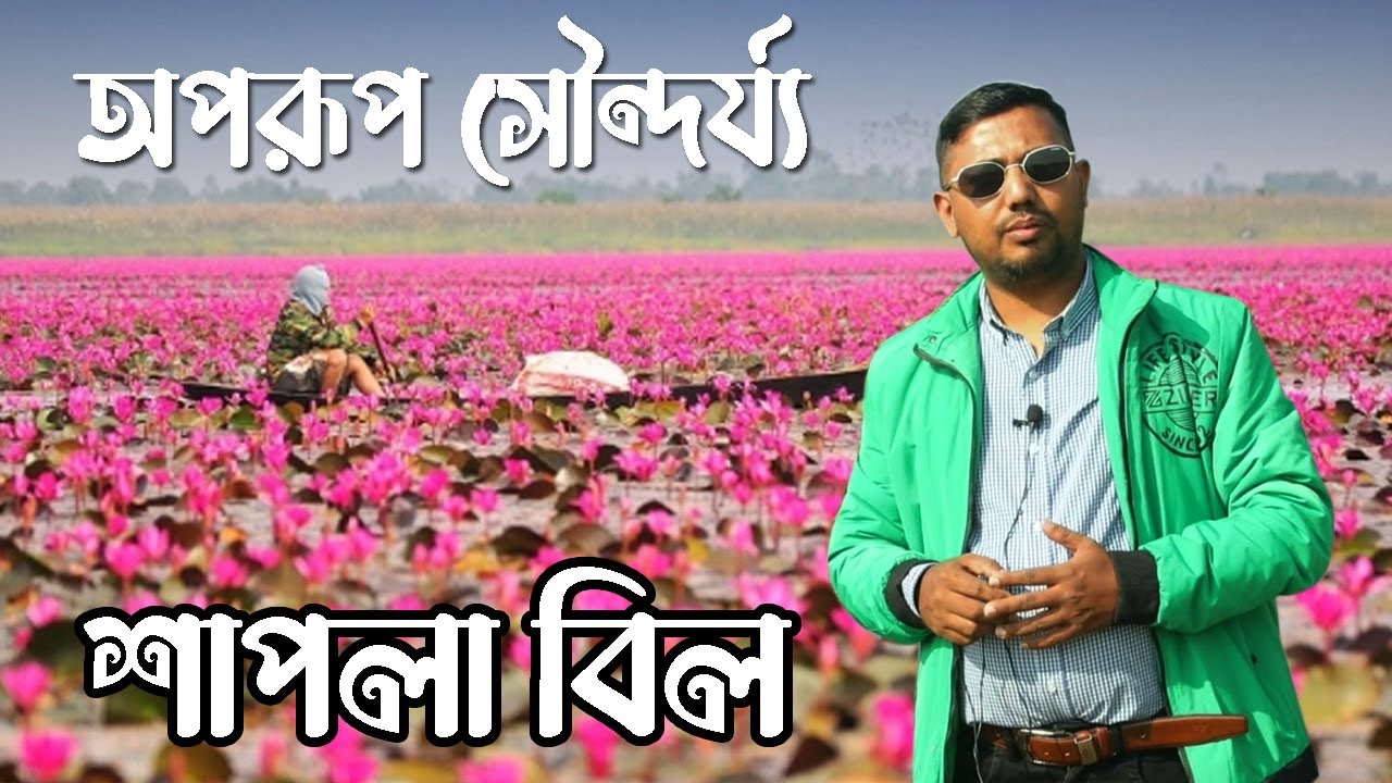 Sapla Bill ।। শাপলা বিল ।। অপরূপ সৌন্দর্য্য ।। Beautiful Bangladesh ...