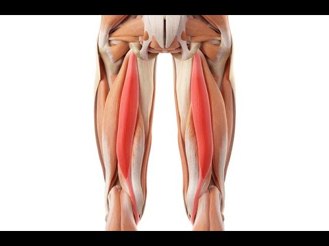 Elastic wrapping of the Hamstring - YouTube