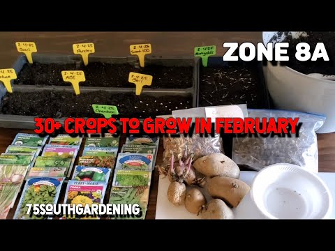 30+ Crops to Grow in February