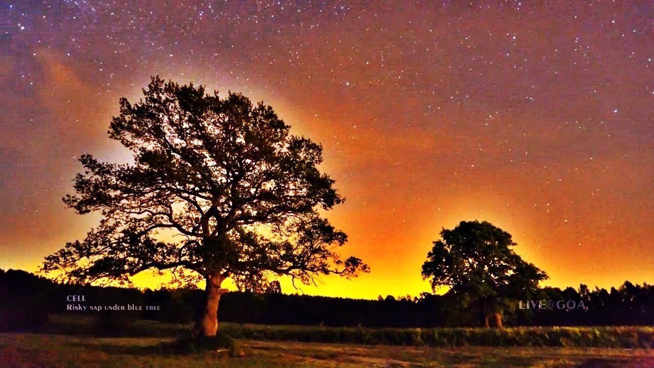 CELL - Risky nap under blue tree - YouTube