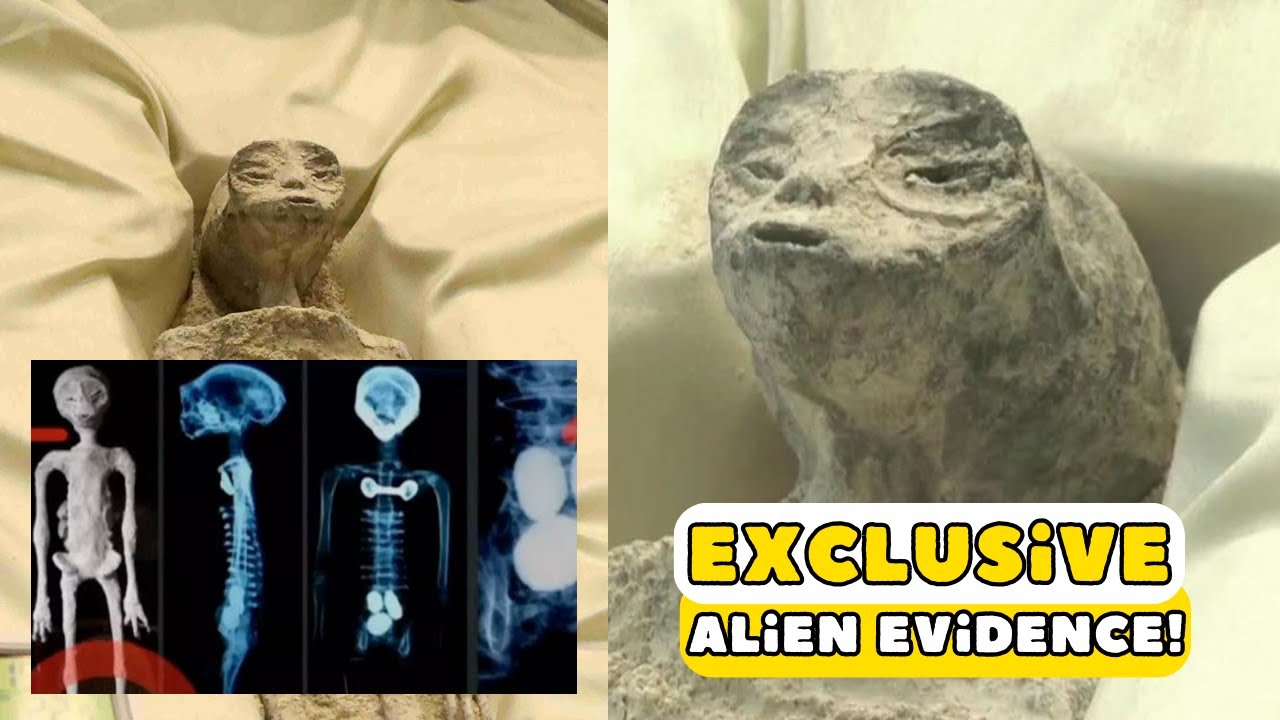 👽 UFO Expert Unveils Ancient Alien Mummies in Mexico Congress ...