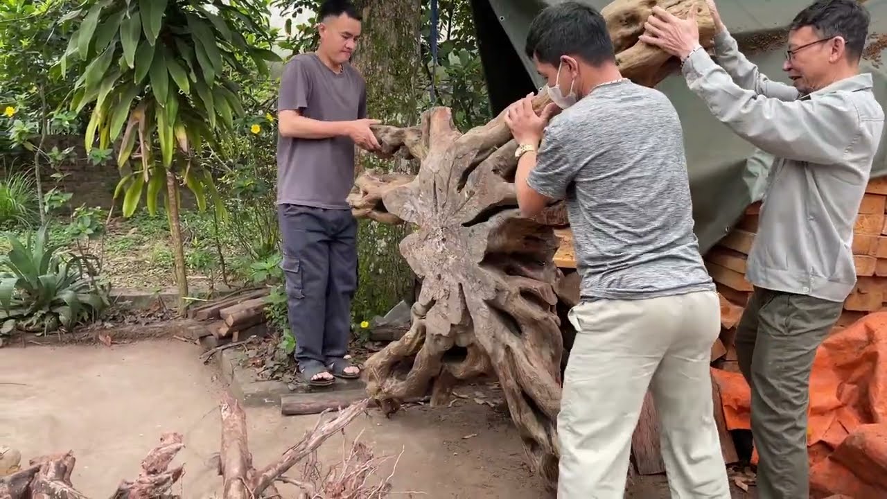 Hundreds of Years of Tree Roots are Used to Make Unique Garden ...