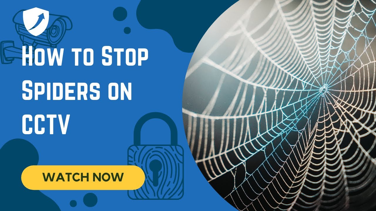 Spider Proof Your CCTV | CCTV Footage Spider Web Maintenance | Upcoming ...