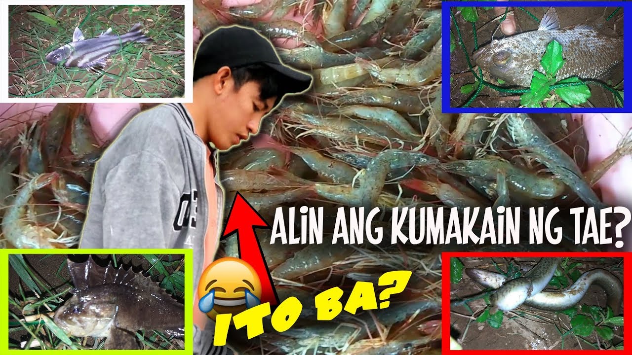 ISDANG KUMAKAIN NG POOPOO 🤣😂(MASARAP ISIGANG) - YouTube