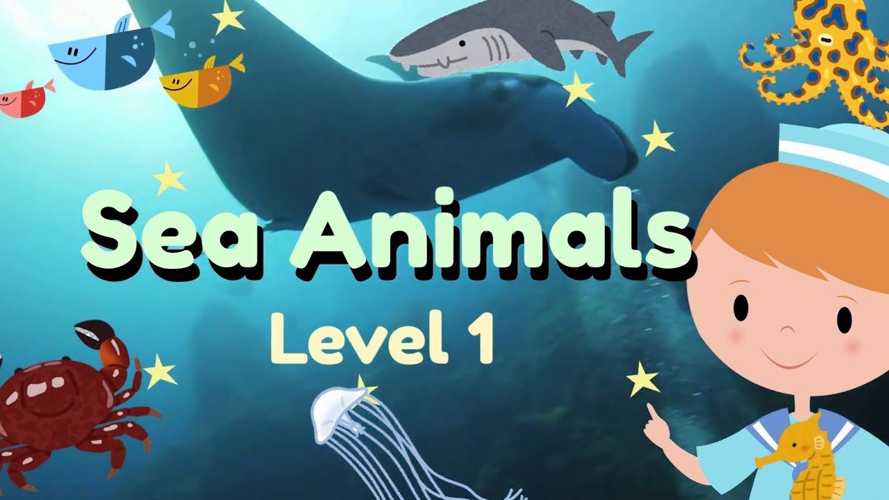 Guessing Game - Sea Animals Level 1|Guess the Underwater Animals |What ...