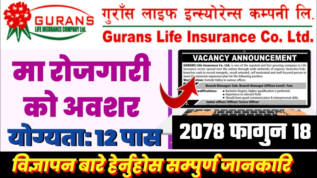 Gurans Life Insurance Vacancy 2078 || Gurans Life Insurance Vacancy ...