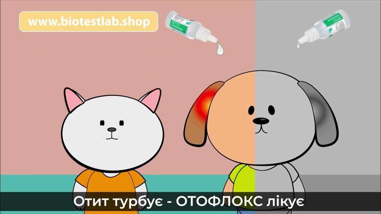 Отофлокс, краплі від отитів для собак та котів, Біотестлаб - YouTube