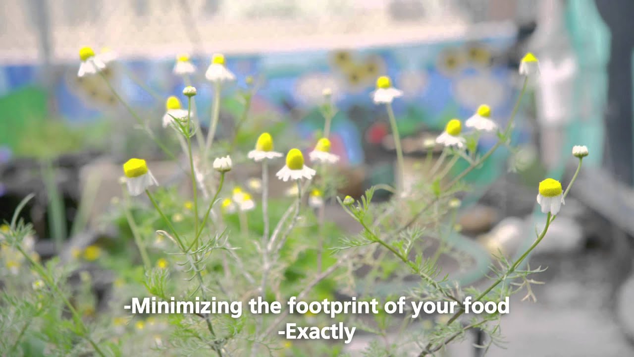 P&G The Everyday Effect. Earth Day - YouTube