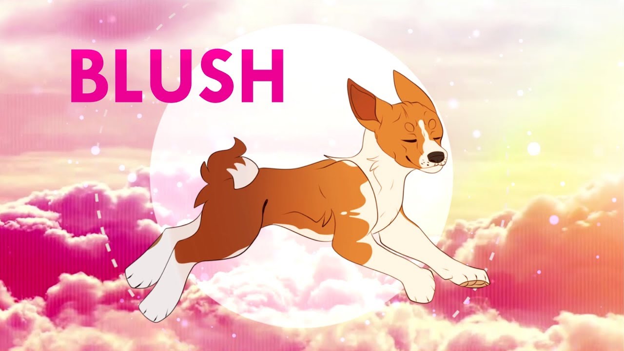 [MEME] Blush ft. Kizi the Basenji - YouTube