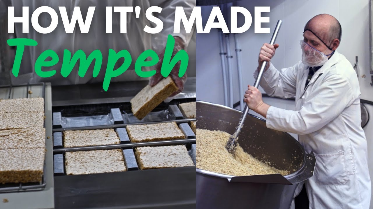 How Tempeh is Made - Factory Tour: From Soybeans to Scrumptious Pizza ...