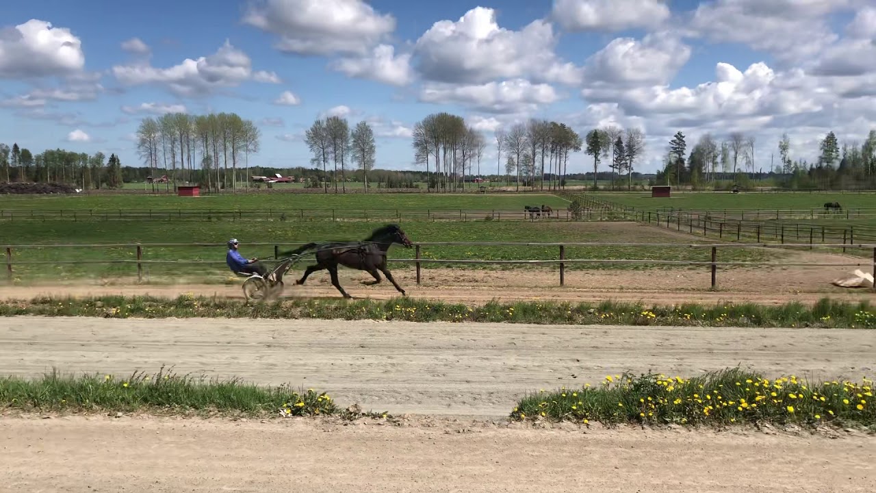 Remarkabel Feet 25/5 - YouTube