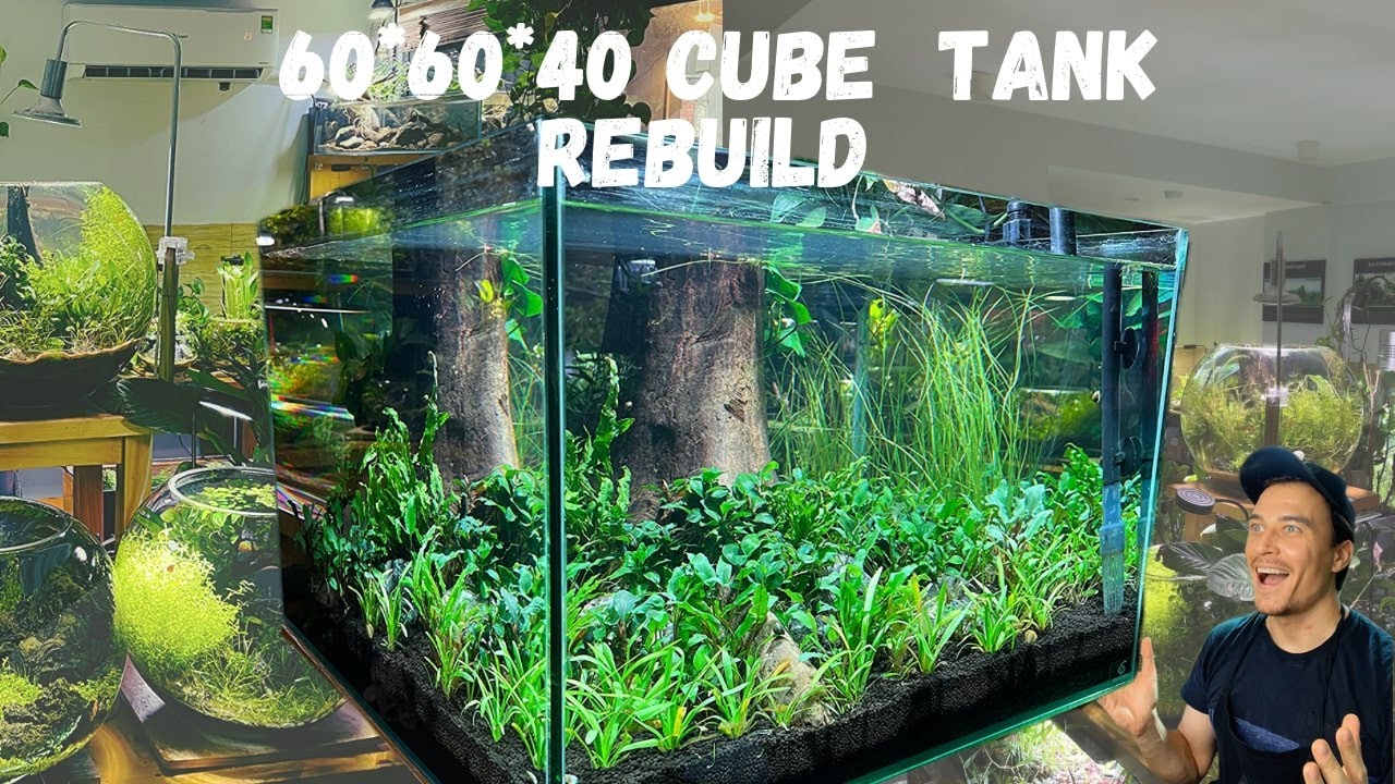 CUBE TANK REBUILD! 60×60×40 - YouTube
