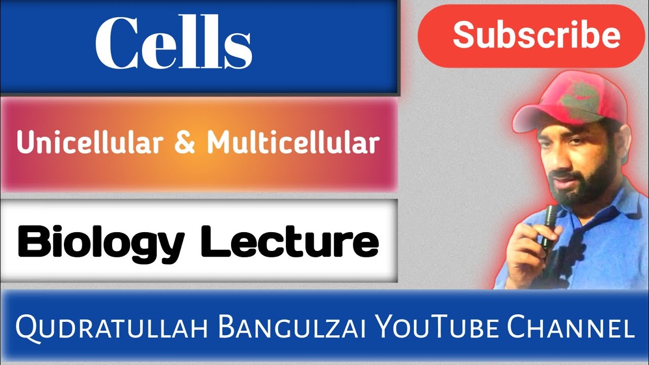Class 9th || Chapter 4 Cells and Tissues || Cell || Unicellular ...