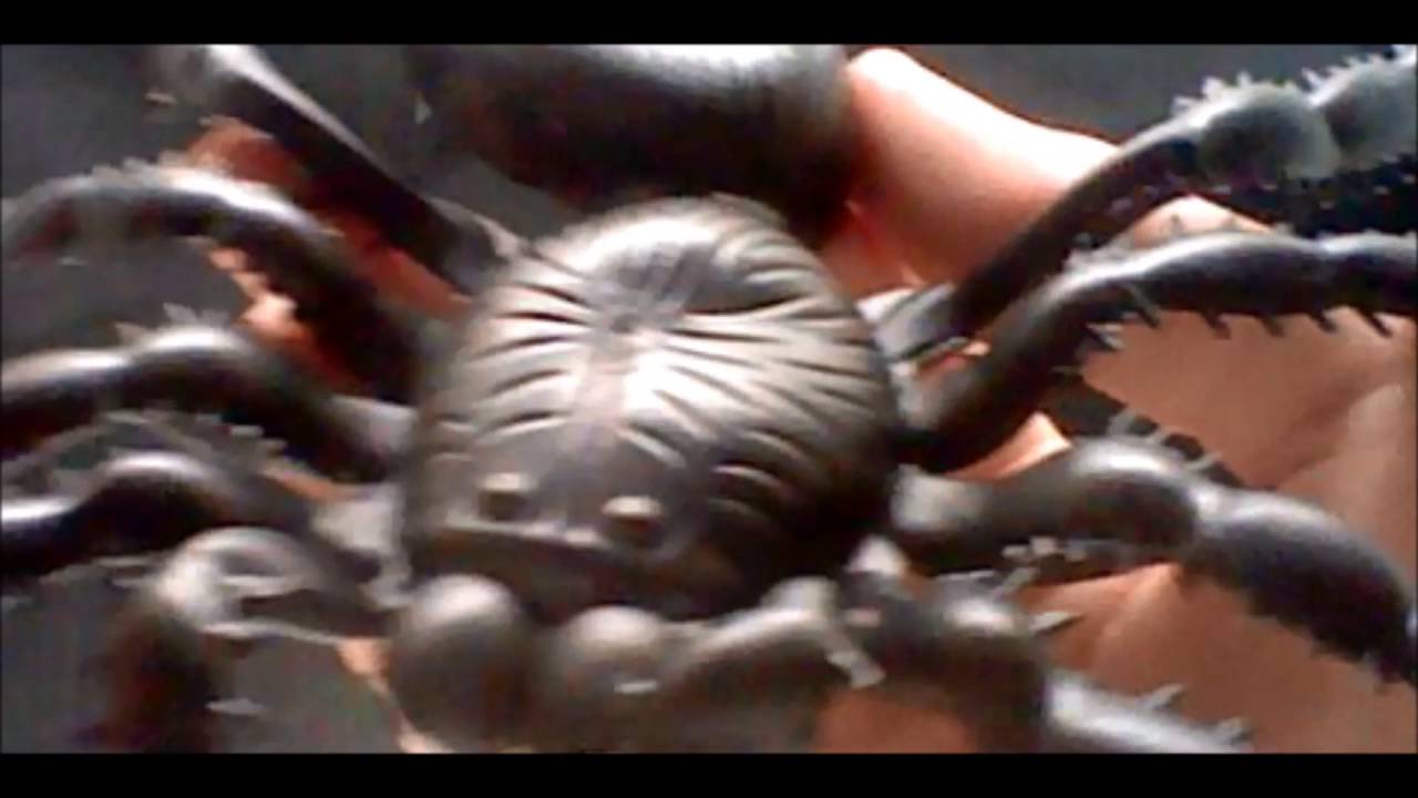 Dollar Tree Spider | Reviews from the crypt - YouTube