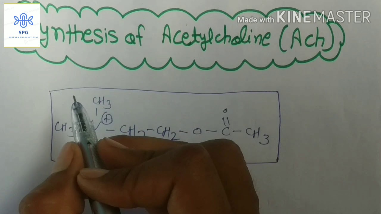 Synthesis of Acetylcholine in 2 steps - YouTube