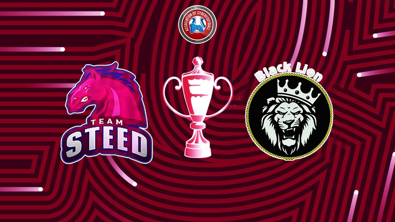 Team Steed - VFC BLACK LION 23 Сезон Кубок ACF 1/16 финала 12.05.2025 ...