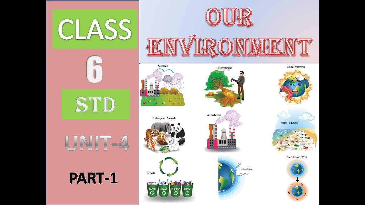 CLASS- VI STD TERM -3 UNIT- 4 OUR ENVIRONMENT PART -1 - YouTube