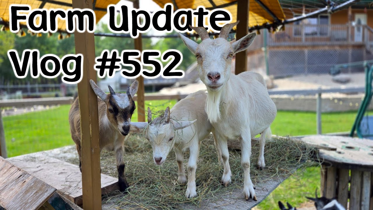 Farm Update Vlog 552 - YouTube