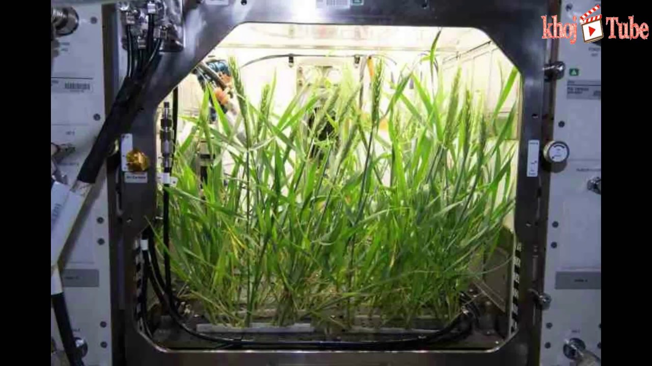 NASA mission: The Advanced Plant Habitat in space - YouTube