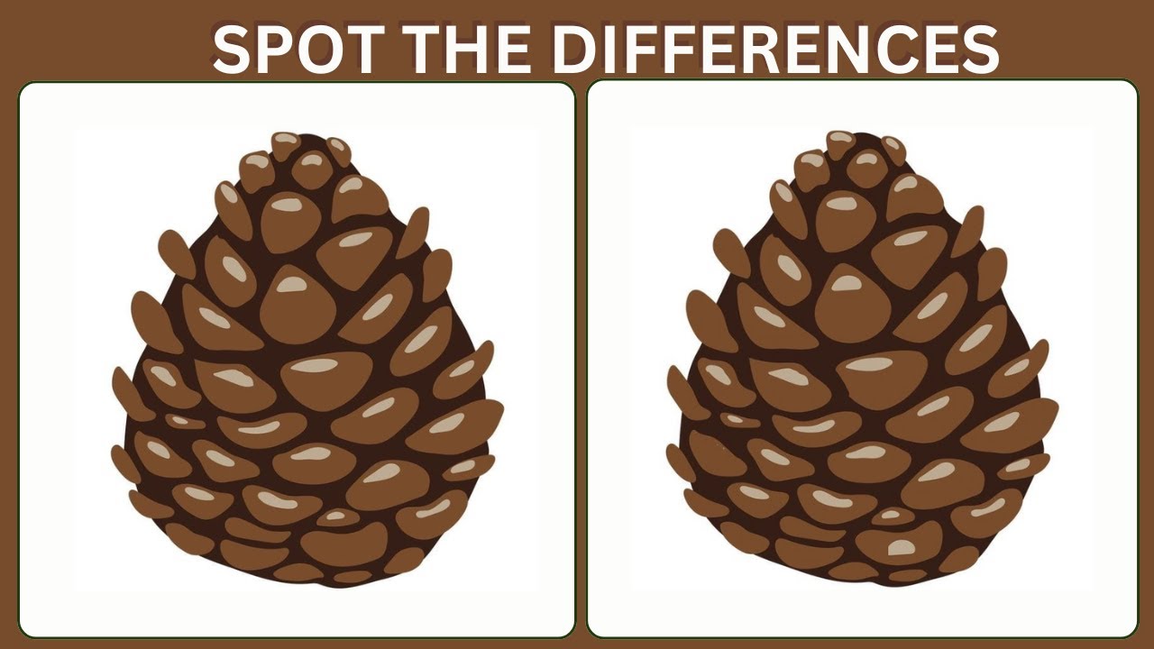 SPOT THE DIFFERENCES, "Unbelievable! " Brain Teasers Ahead! Test Your ...