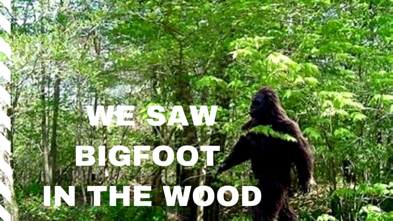 Foraging MOSS in the great PNW forest | Date day off the Flower Farm ...