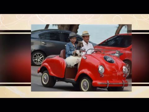 THE WEDDING POO & TAK