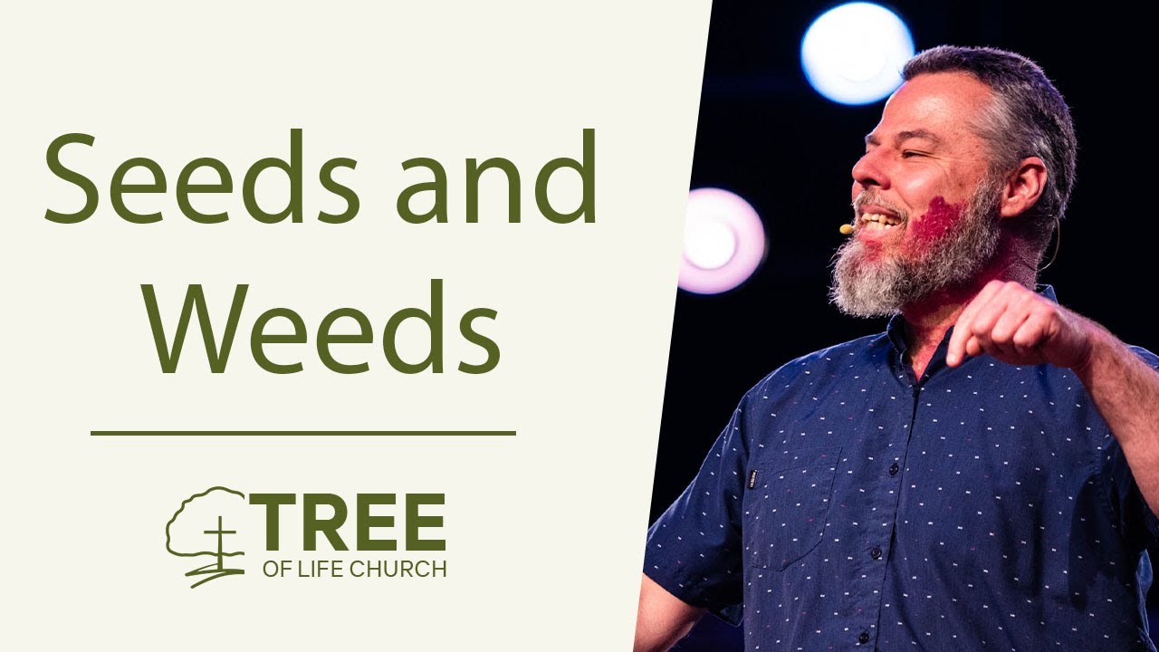 Seeds and Weeds | Pastor Rob Bellomy | Tree of Life Church - YouTube