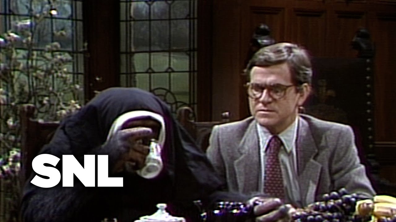 I Married a Monkey: The Convent - Saturday Night Live - YouTube