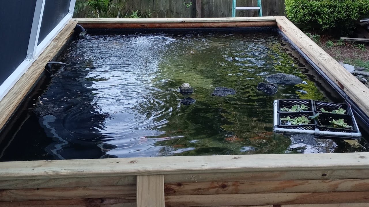 Diy Koi Pond Barrel Filter at James Saavedra blog