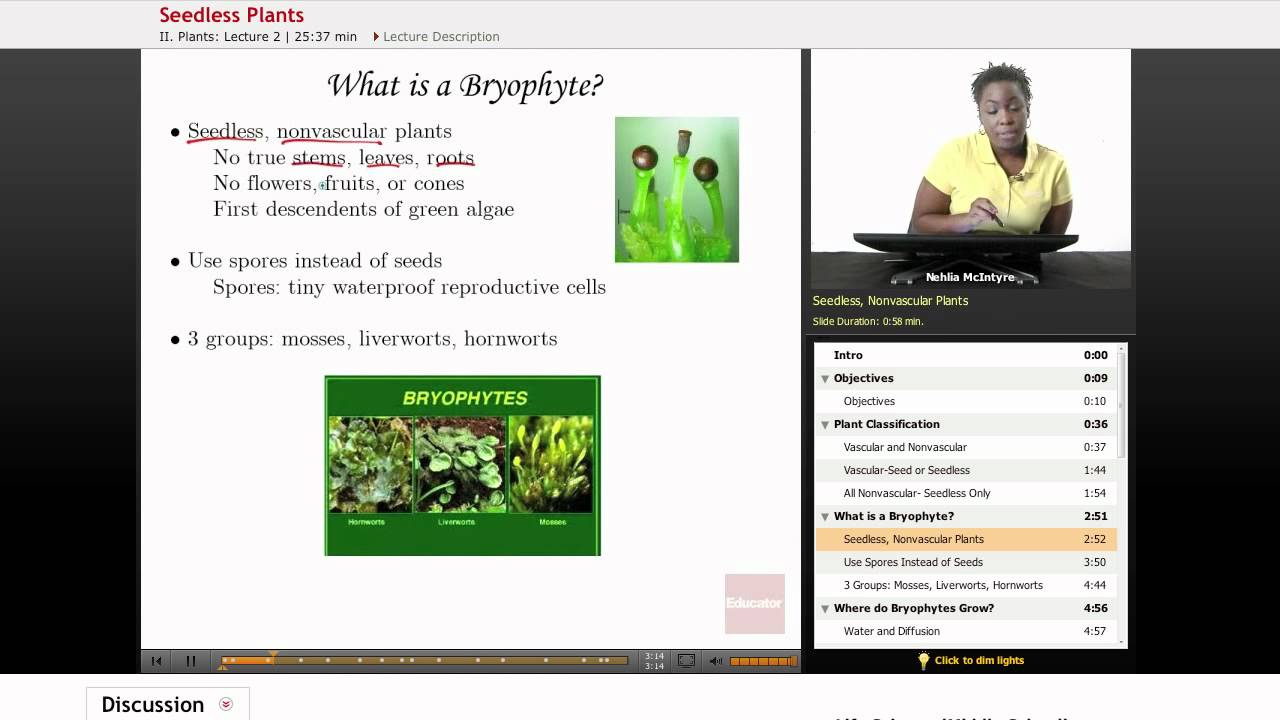 Life Science -Seedless Plants - YouTube
