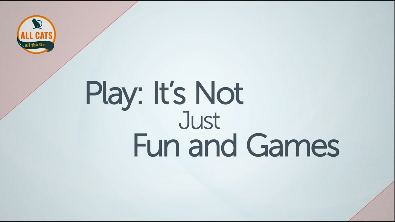 Play: It's Not Just Fun and Games - YouTube