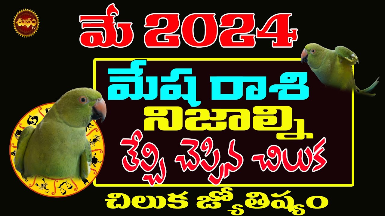 షాకింగ్ తేల్చి చెప్పిన చిలుక | MESHA RASI MAY 2024 | CHILUKA JOSYAM ...