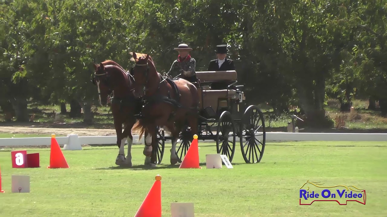 018C Jenni Haas Intermediate Pair Horse Cones Shady Oaks CDE September ...
