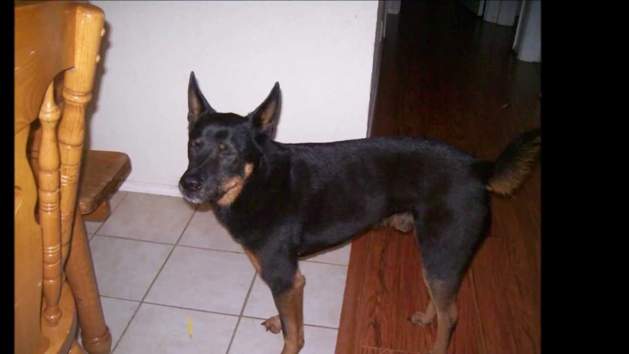 VALENTINE COOPER 2001-2012 - YouTube