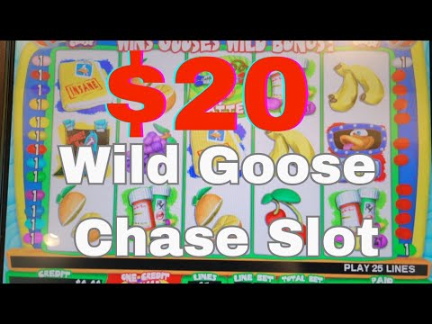 Playing $20 on Wild Goose Chase Slot at Green Valley Ranch Casino ...