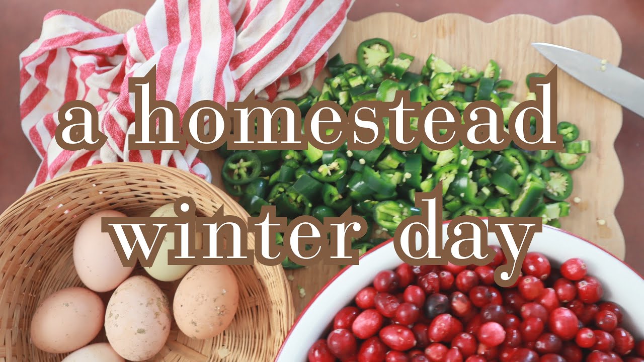 winter homestead: canning decembers produce & made from scratch cooking ...