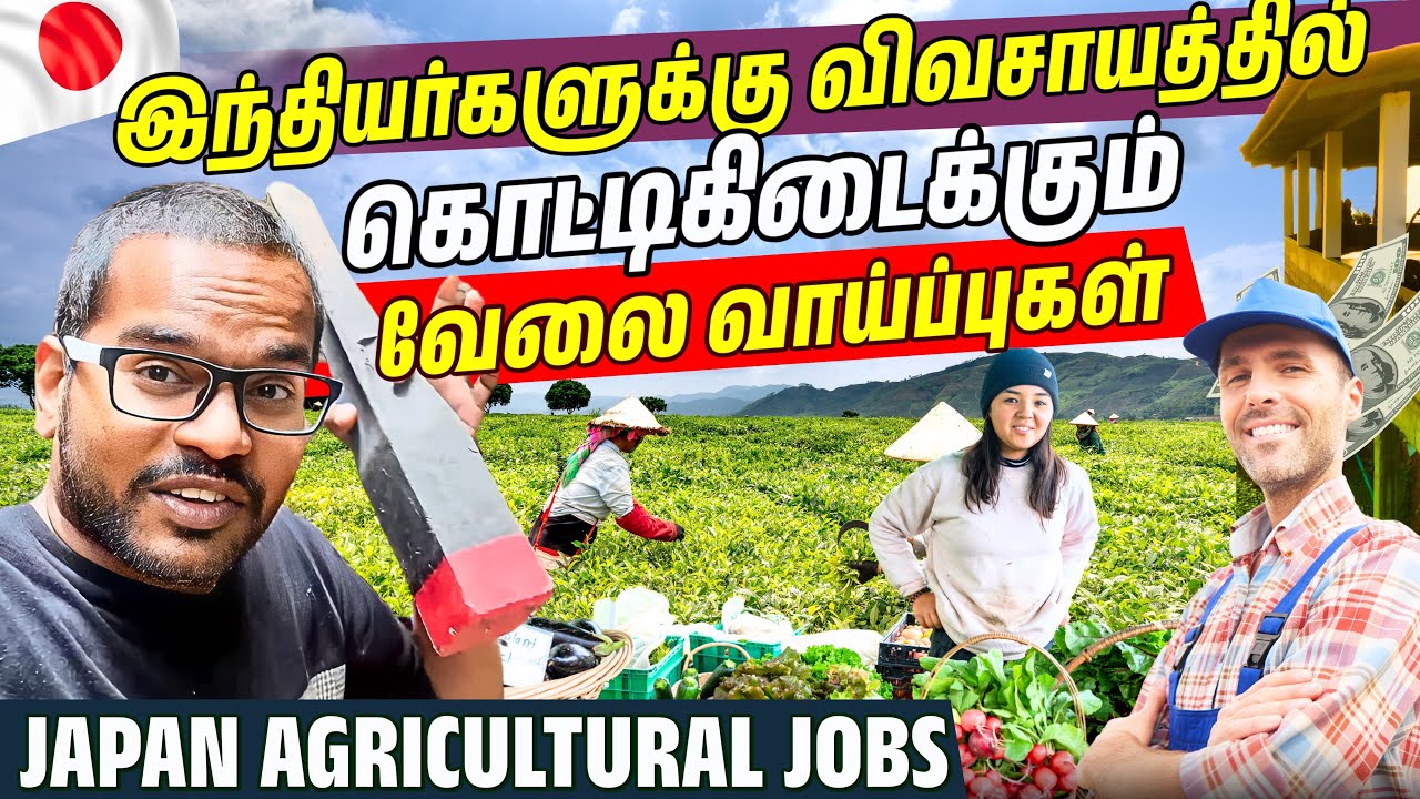 Exploring Farming Careers in Japan: From Traditional Rice Fields to ...