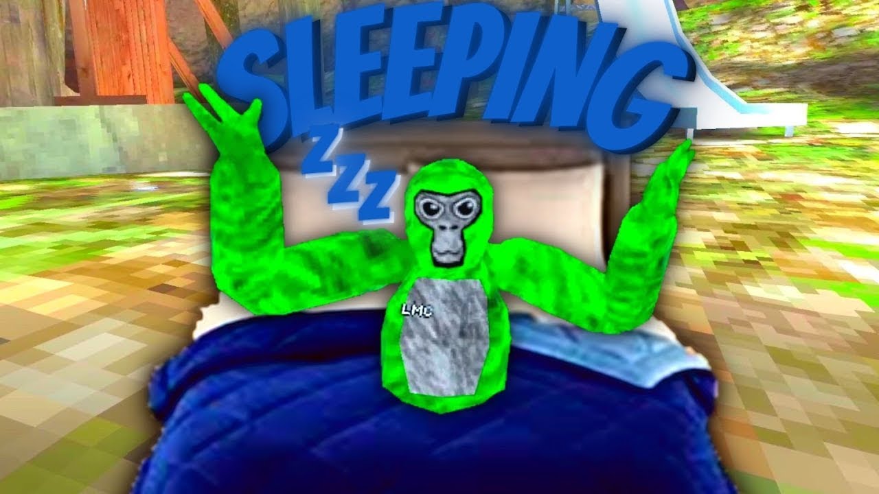 Gtag sleep stream with bear - YouTube