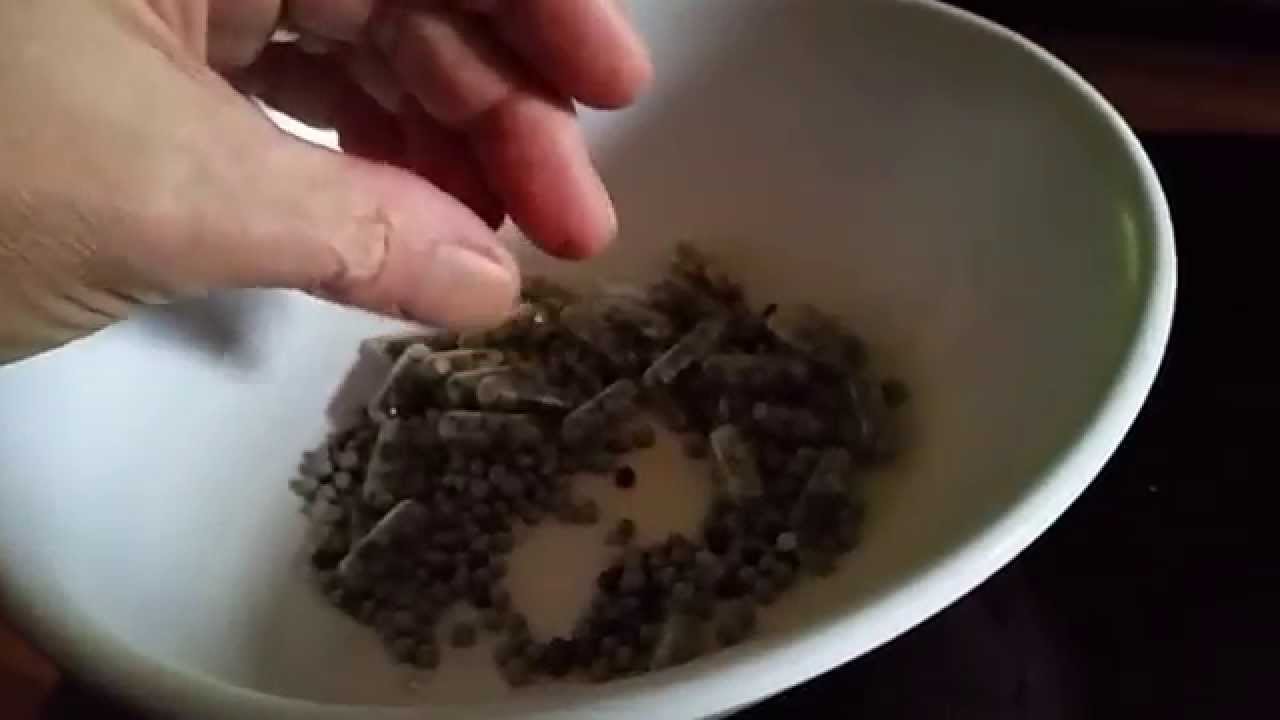 DIY Root Tab Injector - YouTube