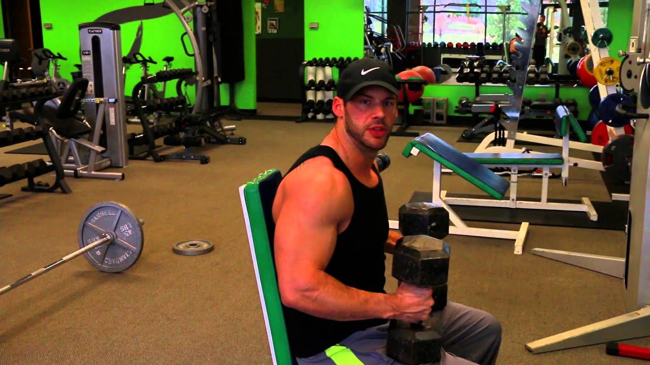 How to Build Huge Wide Shoulders Fast! - Justin Woltering - YouTube