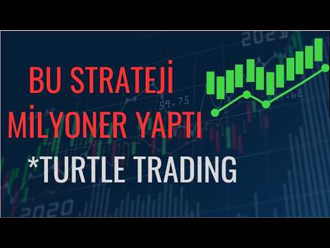 Turtle Trading Stratejisi: 1000$'ı Milyonlara Çeviren Efsane Taktik