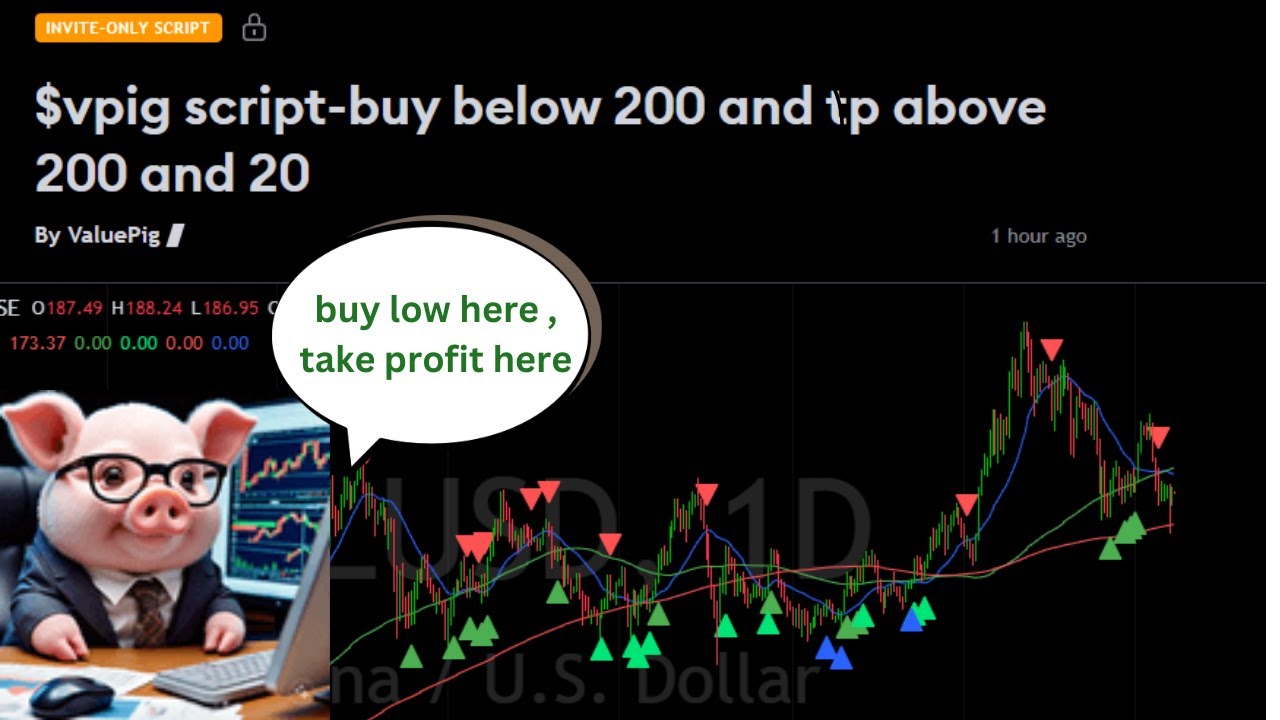 I made a Custom trading indicator for $vpig memebers only - meme coin ...