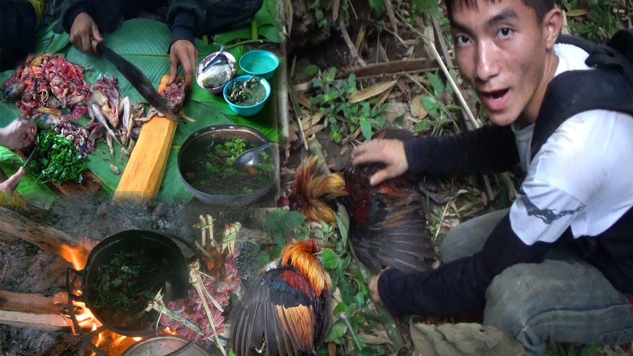 Hunting and Cooking Wild Chicken Using Traps | Yos hav zoov cuab qaib ...