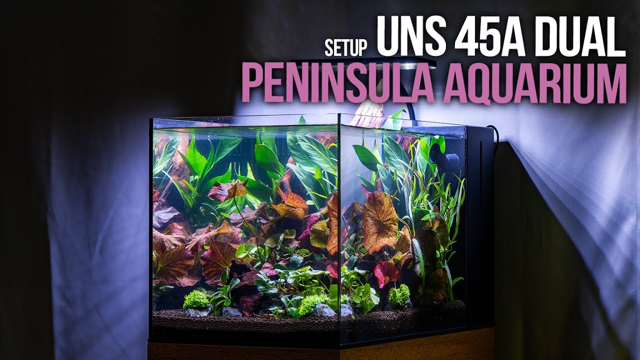UNS 45A All-in-One Peninsula Aquarium - Step-by-Step Aquascape with ...